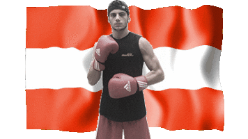 Arsen Chabyan Stickers - Find & Share on GIPHY