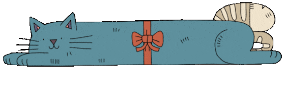 Cat Gift Sticker for iOS & Android | GIPHY