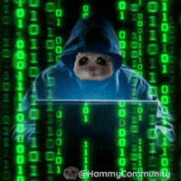 Hacking Meme GIFs - Find & Share on GIPHY