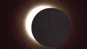 Solar Eclipse GIFs - Find & Share on GIPHY