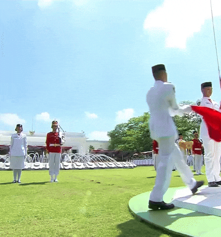 Dpns Duta Pertiwi Nusantara Tbk GIFs - Find & Share on GIPHY