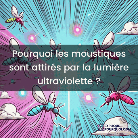 Attraction Lumineuse GIFs - Find & Share on GIPHY