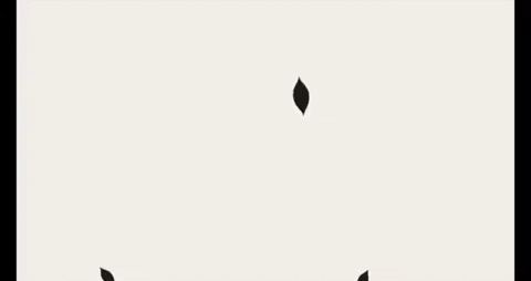 The Knowledge Guild GIFs - Find & Share on GIPHY