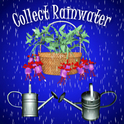 Watering Can GIFs - Find & Share on GIPHY