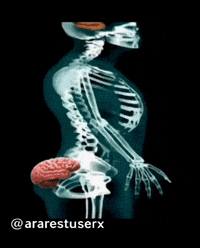 Mellstroy Meme GIFs - Find & Share on GIPHY