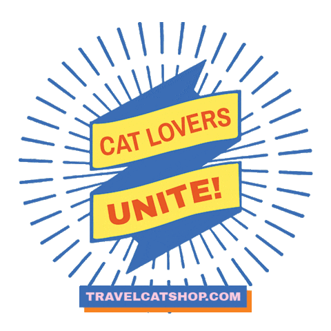 Cats Cat Lover Sticker by Your Cat Backpack - Find & Share on GIPHY