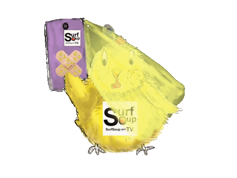 - Find & Share on GIPHY