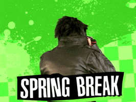 Spring Break GIF by A24