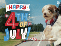 America Heck Yeah GIFs - Find & Share on GIPHY