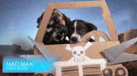 Mad Max GIFs - Find & Share on GIPHY