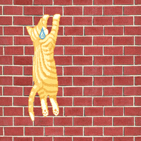 Guy Talking To Brick Wall GIFs - Find & Share on GIPHY