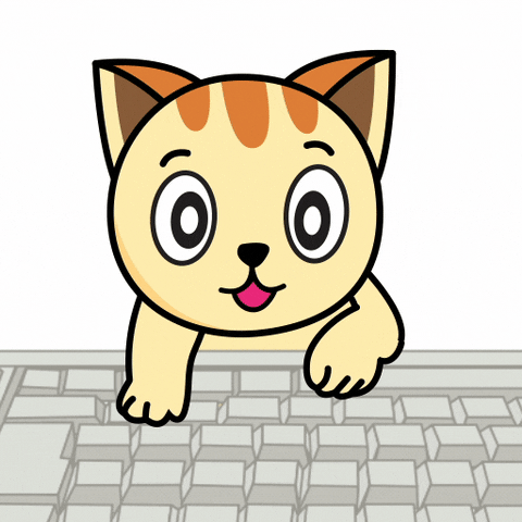 Laptop Cat GIFs - Find & Share on GIPHY