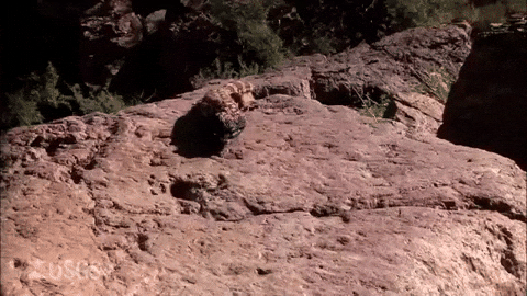 Gila River Indian Community GIFs - Find & Share on GIPHY