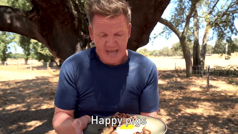 Delicious Bacon Clips - Find & Share on GIPHY
