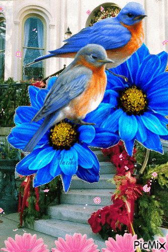 Sonnette GIFs - Find & Share on GIPHY