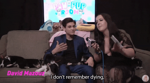 Animal Adorable GIFs - Find & Share on GIPHY