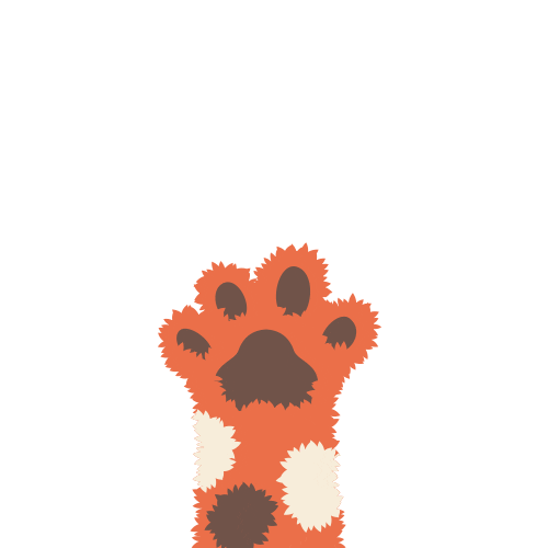 Cat Swipe Up Sticker by vetconcept for iOS & Android | GIPHY