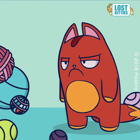 Lost Kitties GIFs - Find & Share on GIPHY
