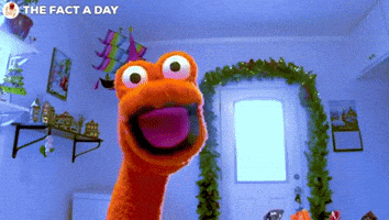 How Many Licks Does It Take GIFs - Find & Share on GIPHY