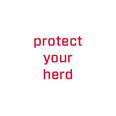 Herding Sheep Stickers - Find & Share on GIPHY