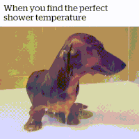 Ahhhhh Meme GIFs - Find & Share on GIPHY