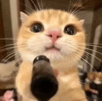 360 No Scope Meme GIFs - Find & Share on GIPHY