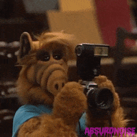 No Perms GIFs - Find & Share on GIPHY