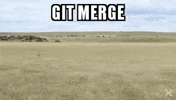 Git GIFs - Find & Share on GIPHY