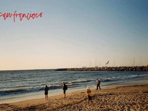 Blog Blog Entwicklungen Trends Franchise 2020 GIFs - Find & Share on GIPHY