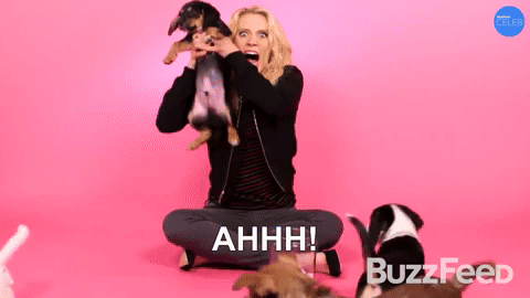 Ahhhh Clips - Find & Share on GIPHY