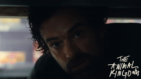 The Animal Kingdom GIFs - Find & Share on GIPHY