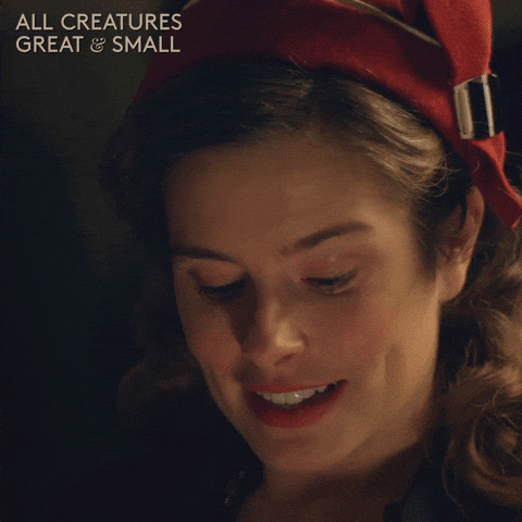 Small Hawaii Wedding GIFs - Find & Share on GIPHY