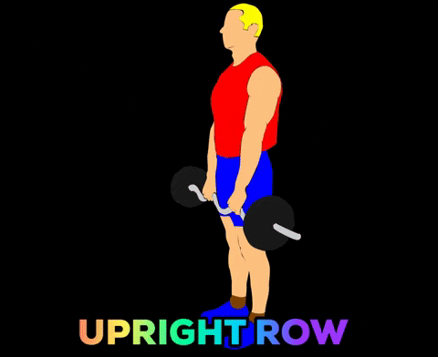 Barbell-row GIFs - Get the best GIF on GIPHY