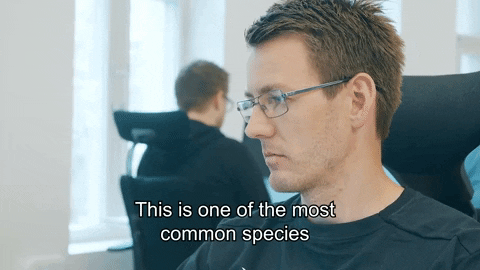 nerd coding GIF by Wikitude - Find & Share on GIPHY