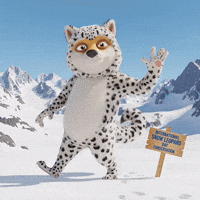 Snow Leopard GIFs - Find & Share on GIPHY