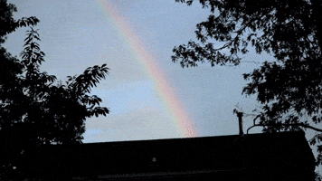 Happy Rainbow GIF by cecy meade