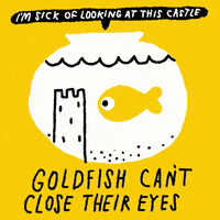 Fish Staring GIFs - Find & Share on GIPHY