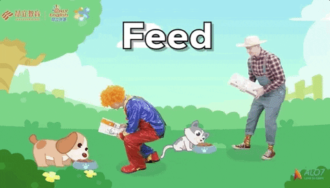 Feeding-pet GIFs - Get the best GIF on GIPHY