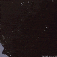 Alien Face Hugger GIFs - Find & Share on GIPHY