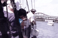 Boston Tea Party GIFs - Find & Share on GIPHY