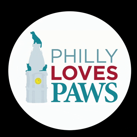 Philly Paws GIFs - Find & Share on GIPHY
