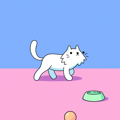 Leave Me Alone Cat GIF by doodles - Find & Share on GIPHY