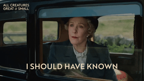 Ishouldhaveknown GIFs - Find & Share on GIPHY