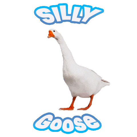Silly Goose Stickers - Find & Share on GIPHY
