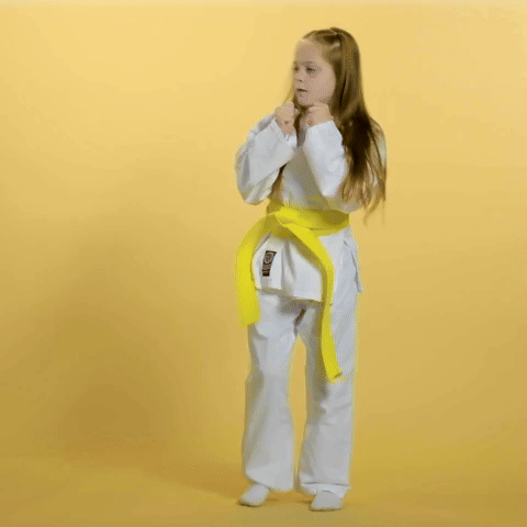 Karate Kick Clips - Find & Share on GIPHY
