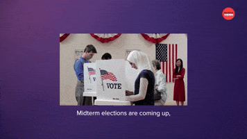 Election 2020 Wtf GIF by Trolli