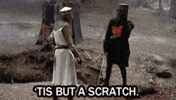 Monty Python Memes GIFs - Find & Share on GIPHY
