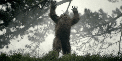 Jack Links Sasquatch GIFs - Find & Share on GIPHY