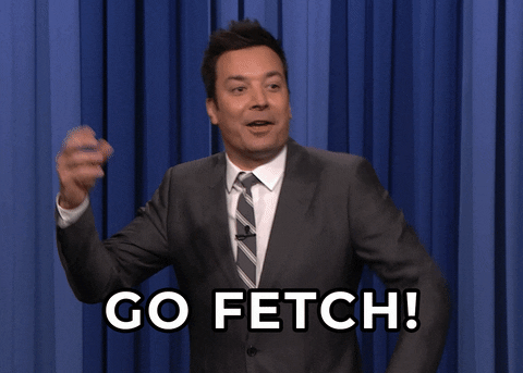 Go-fetch GIFs - Get the best GIF on GIPHY