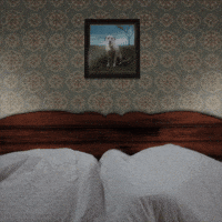 Under-the-sheets GIFs - Get the best GIF on GIPHY